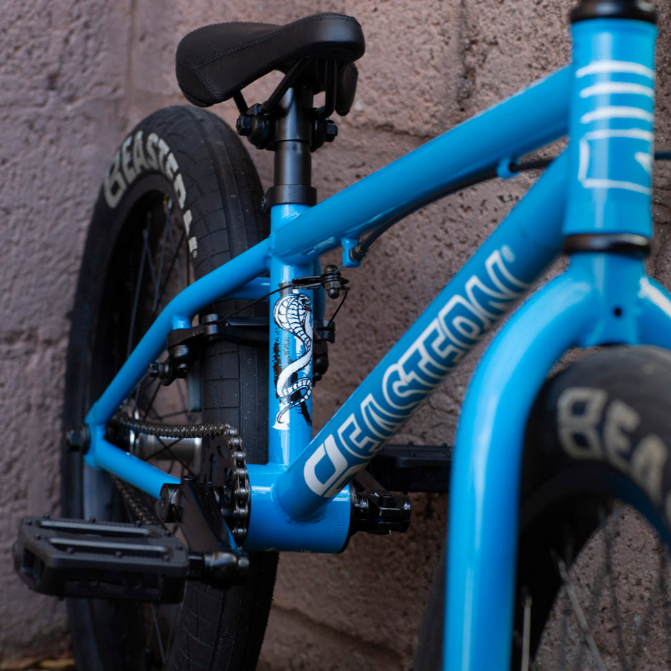 Eastern Cobra 20" BMX Bike - 3pc Cranks - Sealed Hubs – Eastern Bikes